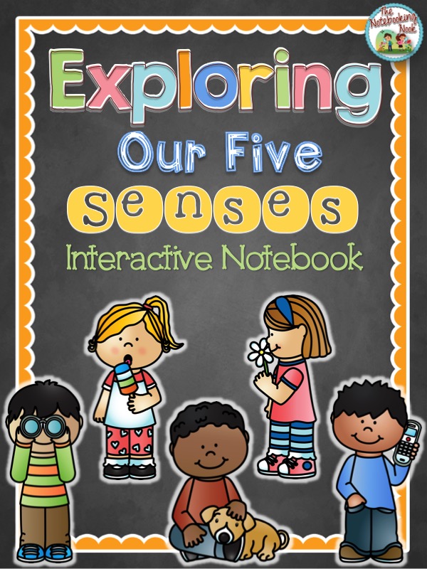 Exploring Our Five Senses Interactive Notebook, Resources and a FREEBIE ... Exploring Our Five Senses Interactive Notebook, Resources and a FREEBIE ...